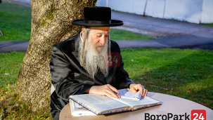 Boro Park 24
