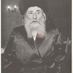 Memory Lane: Rav Menachem Mendel Kasher, zt”l – Boro Park 24